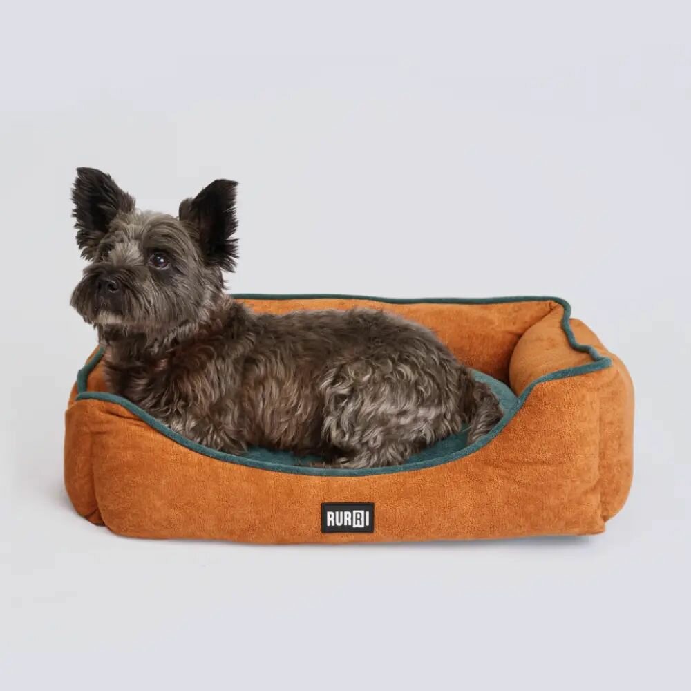 RURRI Лежанка с кантом для кошек и собак мелких пород, 60х50 см, оранжево-зеленый
