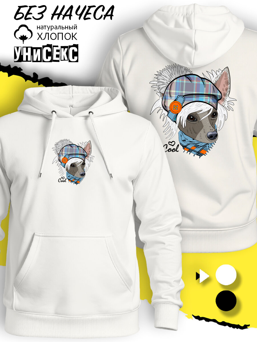 Худи Толстовка свитшот китайская хохлатая собака cool