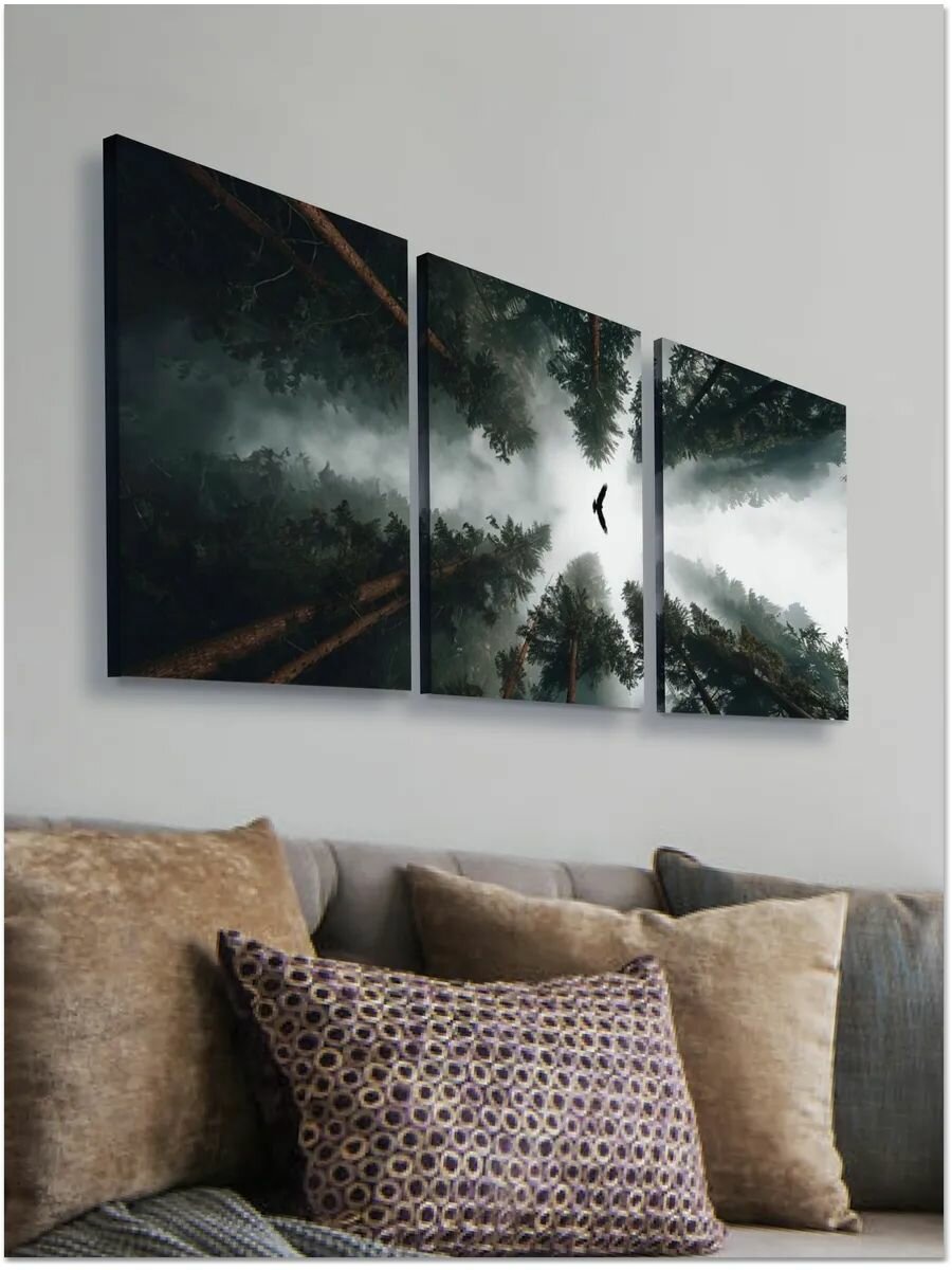 Картина Одинокий сокол над лесом модульная 50x70см 3шт.