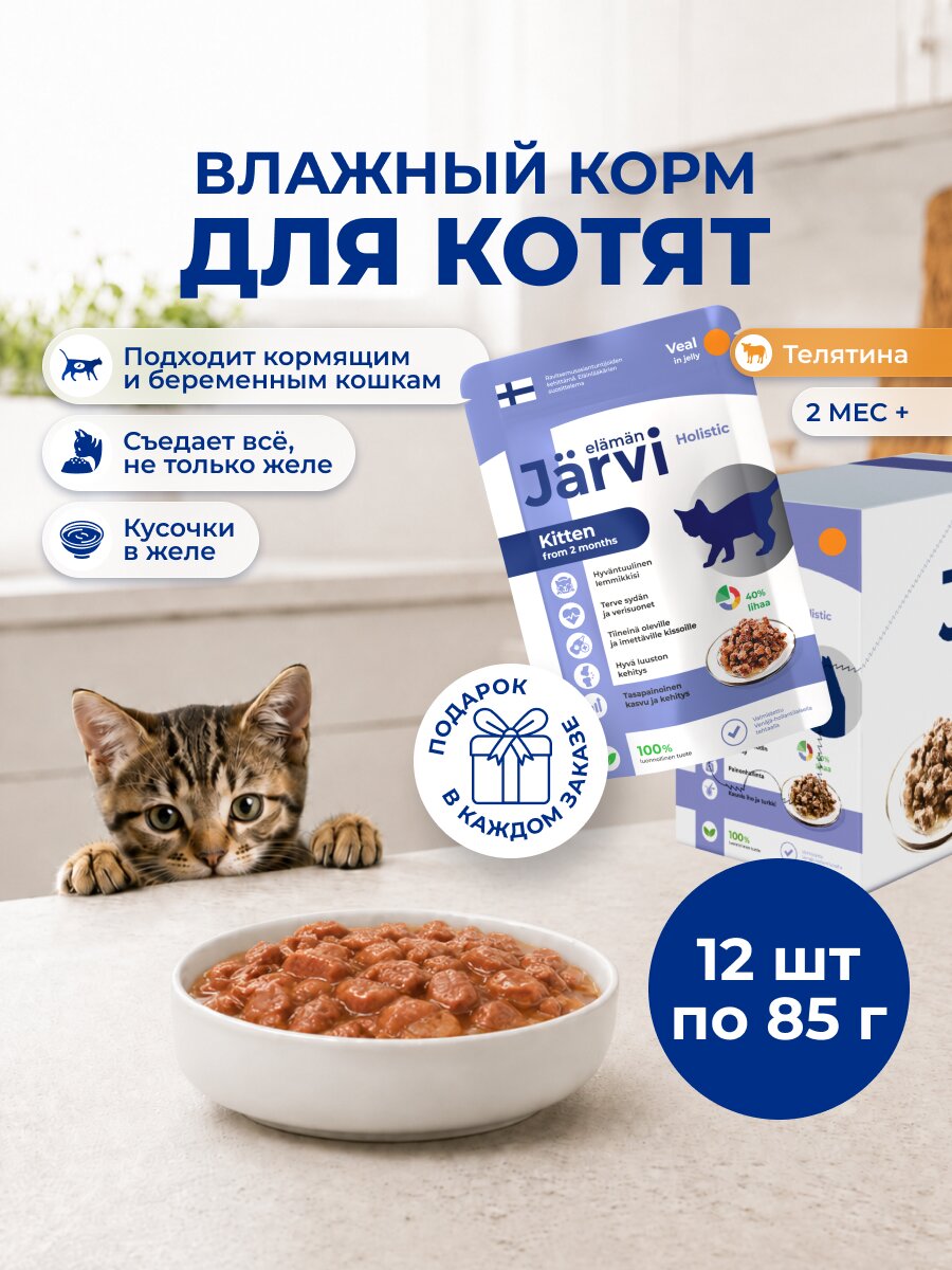 Влажный корм Jarvi для котят и беременных кошек с телятиной (кусочки в желе), 85 г х 12 шт.