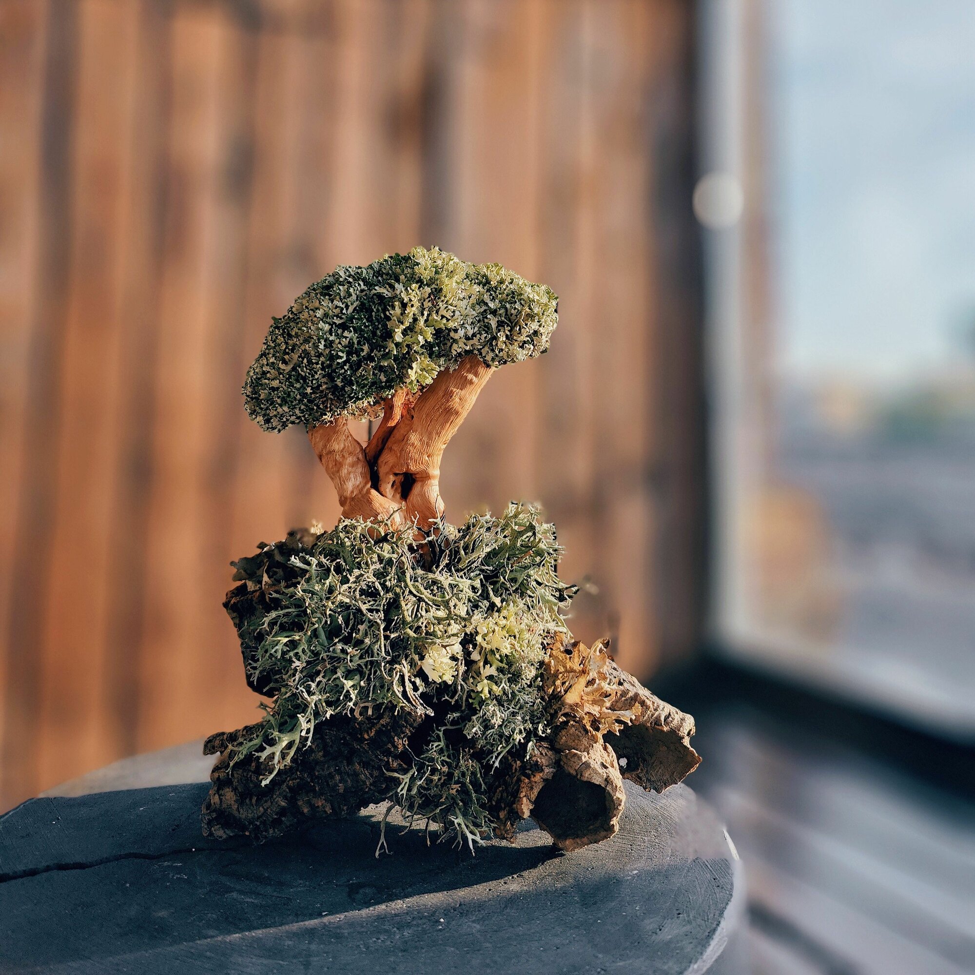 Дерево Цетрария из исландского мха / оригинальный подарок, интерьерное украшение