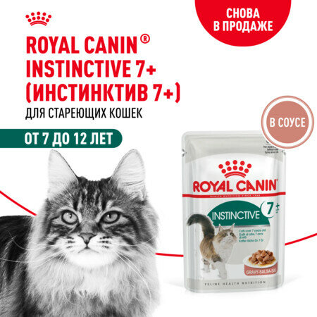 ROYAL CANIN INSTINCTIVE 7+ 28 шт по 85 г кусочки в соусе, влажный корм для кошек старше 7 лет