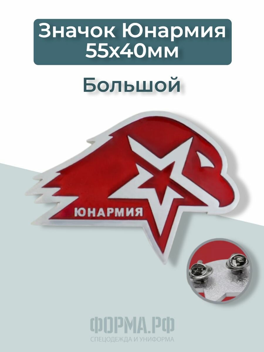 Значок Юнармия большой 55х40мм