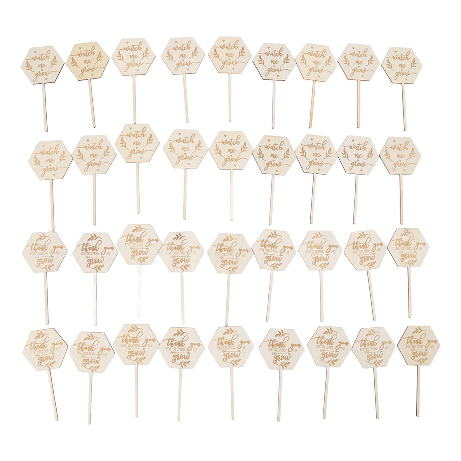 36 шт, сочные бирки Watch Me Grow, безопасные, экологически чистые, деревянные шестиугольные сочные бирки для украшения цветочного горшка, растения