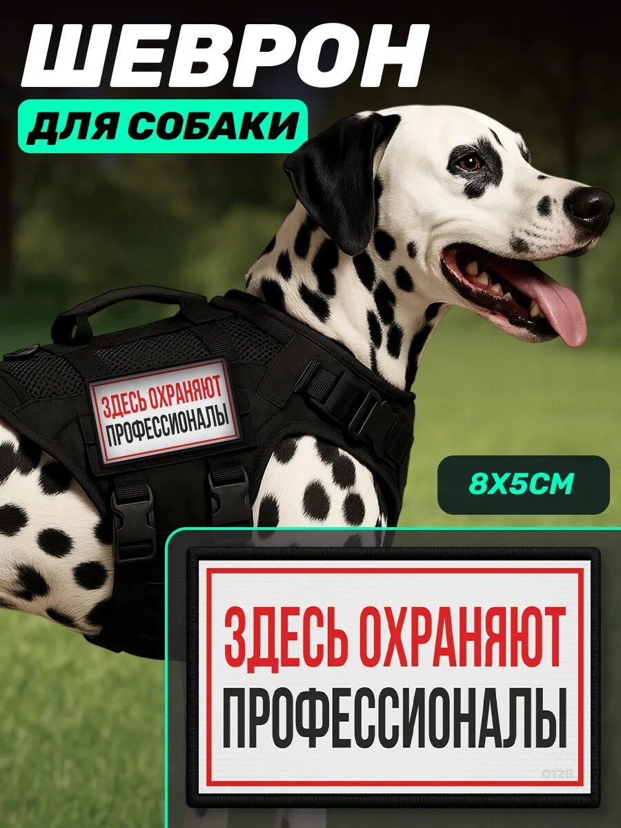 Шеврон на шлейку для собак Охраняют профессионалы