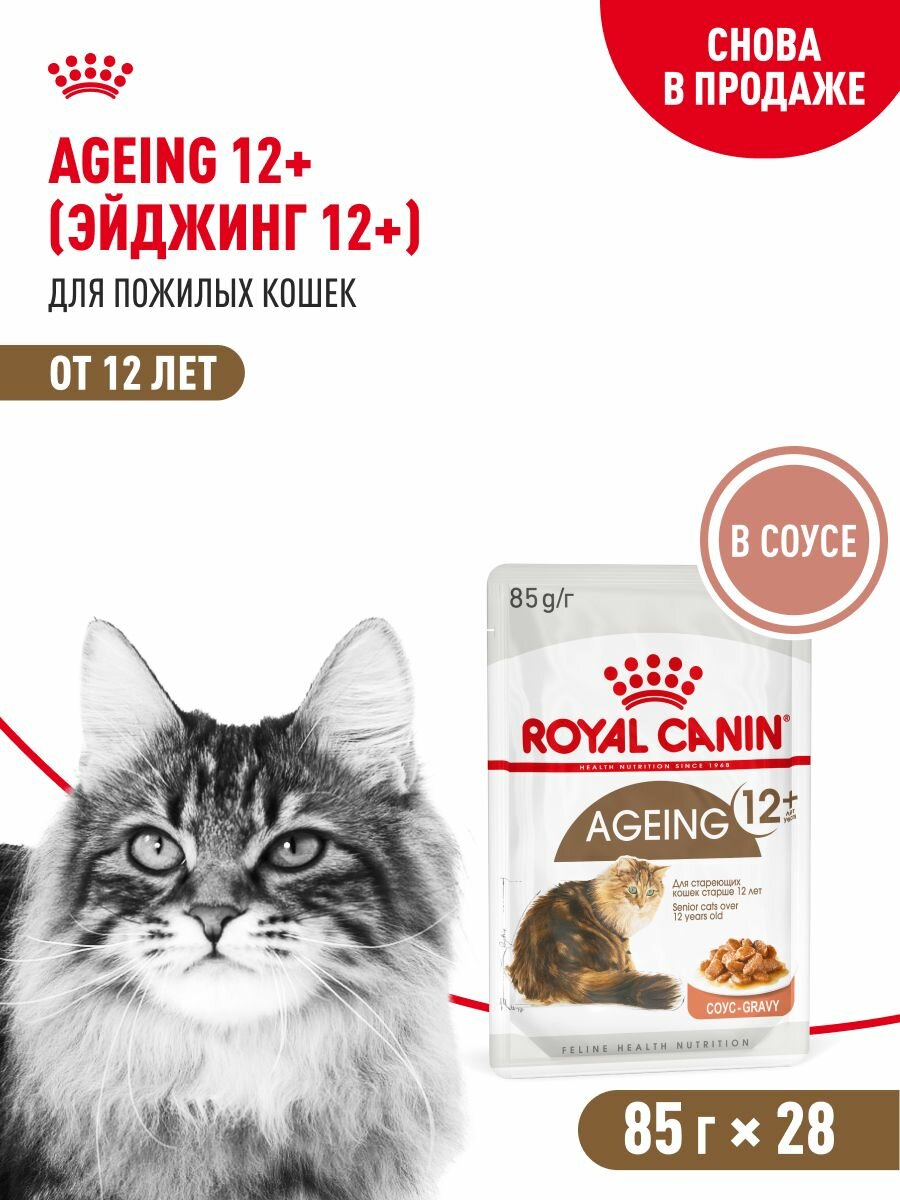 Влажный корм для кошек пожилых Royal Canin Ageing, кусочки в соусе, 85 г х 28 шт