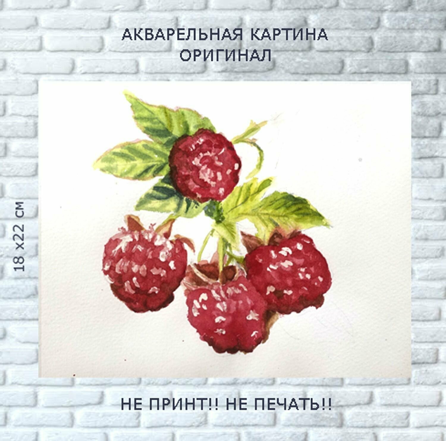 Картина Малина Акварельная живопись. Автор Оливия Кандра