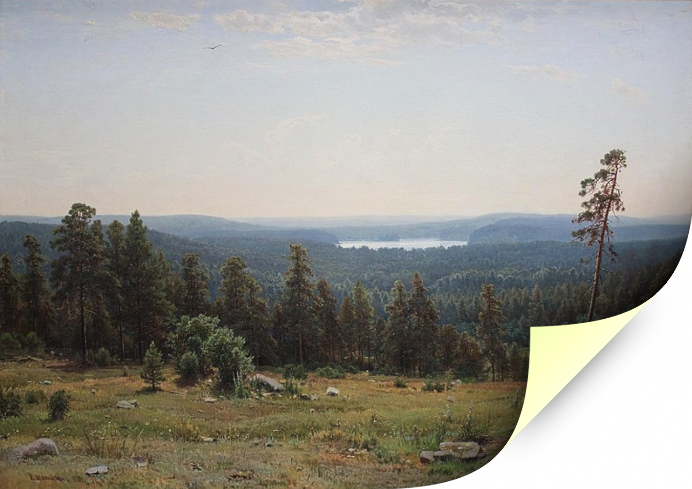 "Лесные дали", Шишкин Иван Иванович, картина (репродукция) (45х32 см / без подрамника)