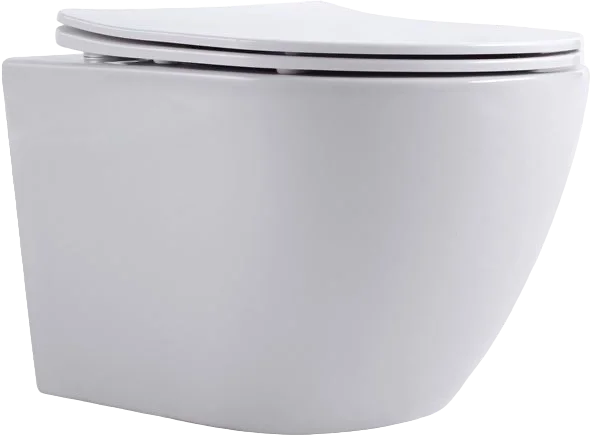 Унитаз подвесной Aquanet Cetus 249710 безободковый, с микролифтом