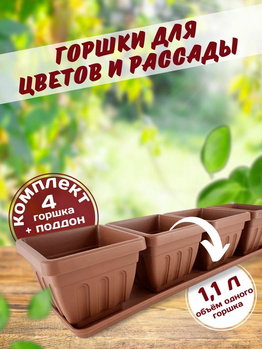 Квартет Ирис поддон + 4 горшочка терракотовый