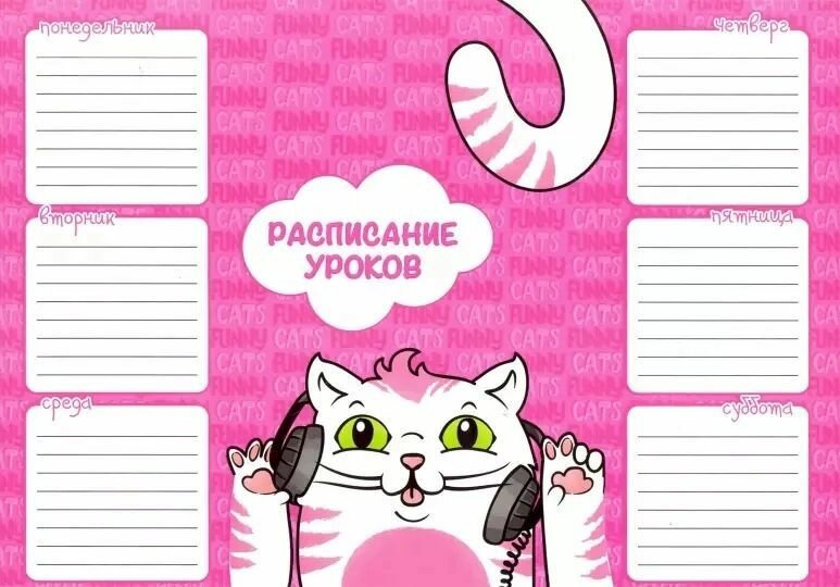 Расписание уроков "Котяра в наушниках"