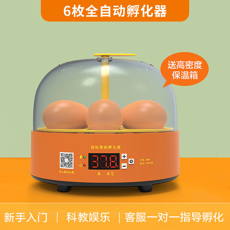 Мини-инкубатор для яиц на 4-6 яиц, маленький домашний образовательный инкубатор, умная полностью автоматическая машина для выведения яиц
