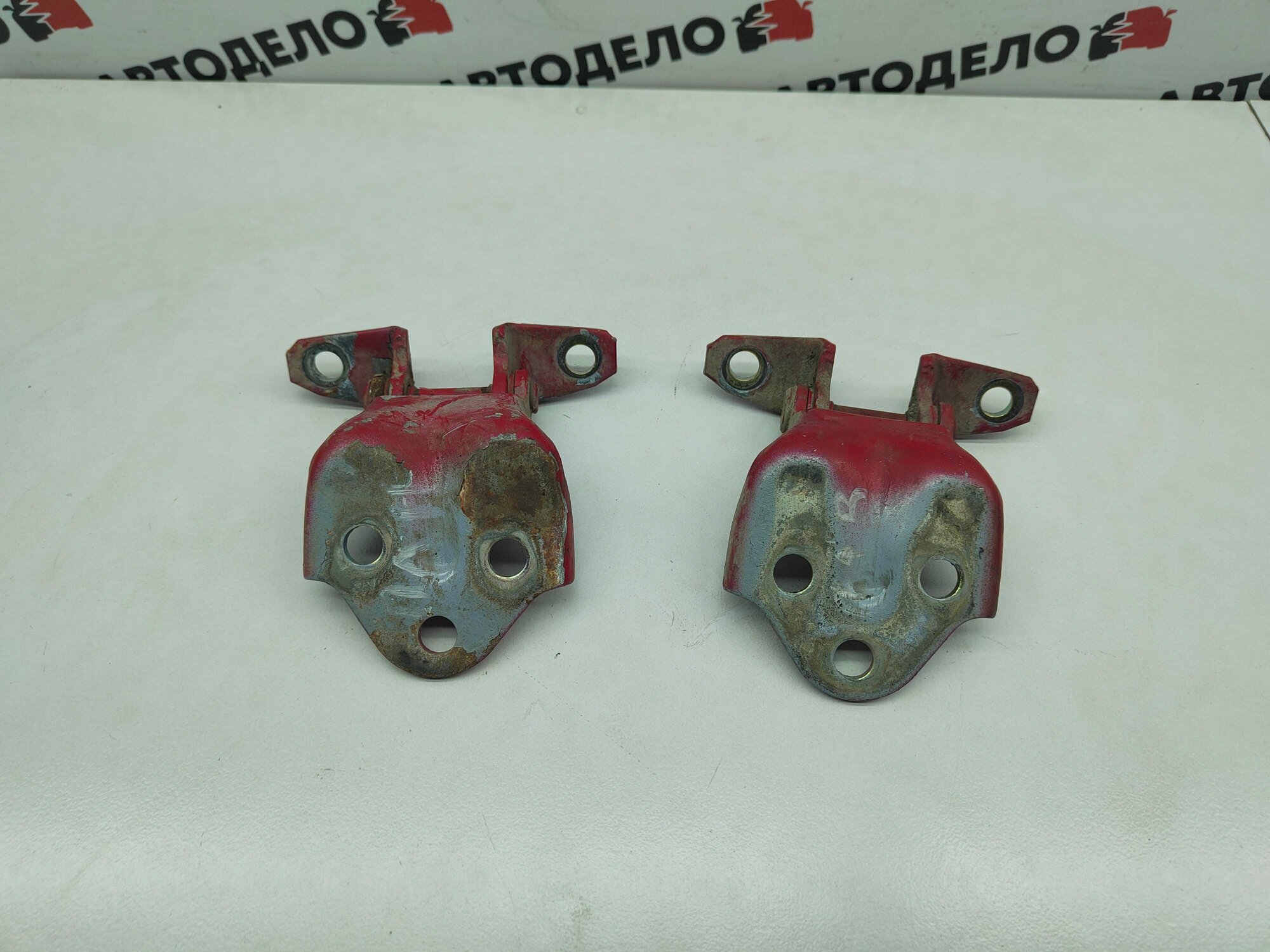 Петли передней левой двери Mitsubishi RVR N28W