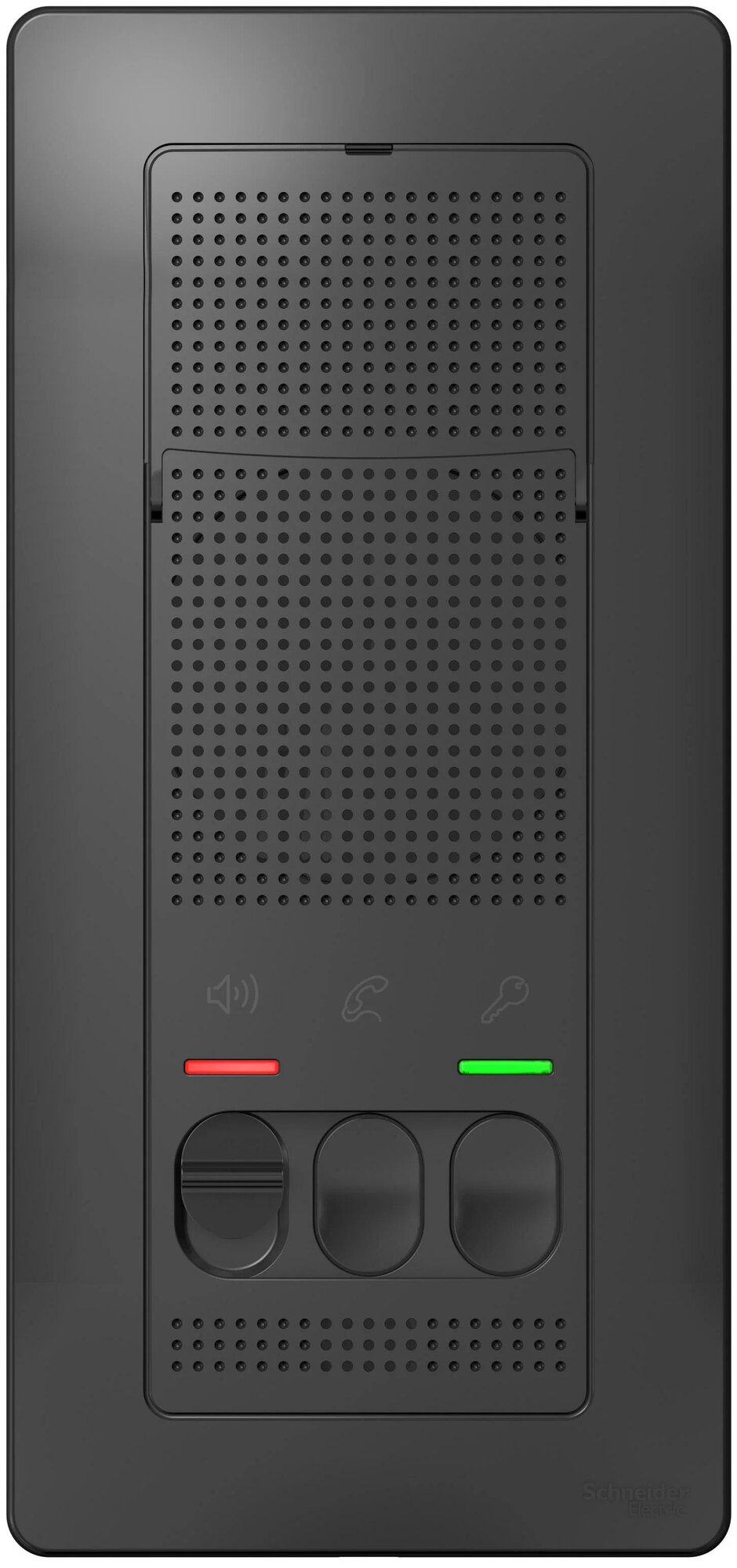 Дверное переговорное устройство Systeme Electric BLNDA000016 антрацит