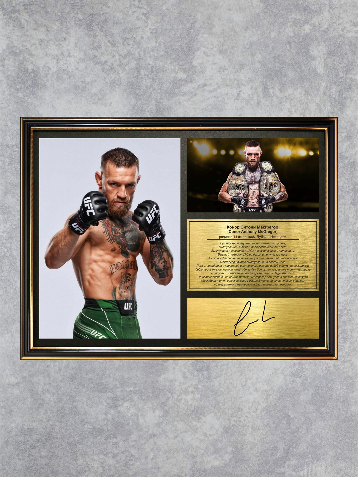 Conor McGregor Золотистая картина с металлическими табличками