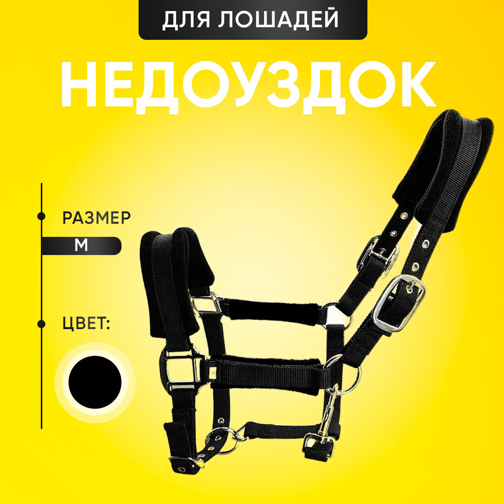 Уздечка, недоуздок для лошадей. Оборудование для верховой езды, скачек. Цвет черный. Размер M.