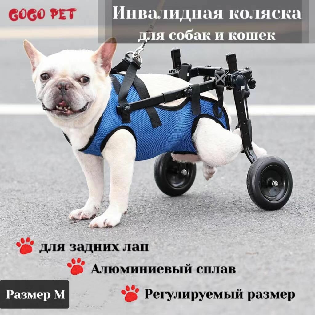 Инвалидная коляска для собак и кошек для задних лап, для мелких и средних пород, размер M, синий