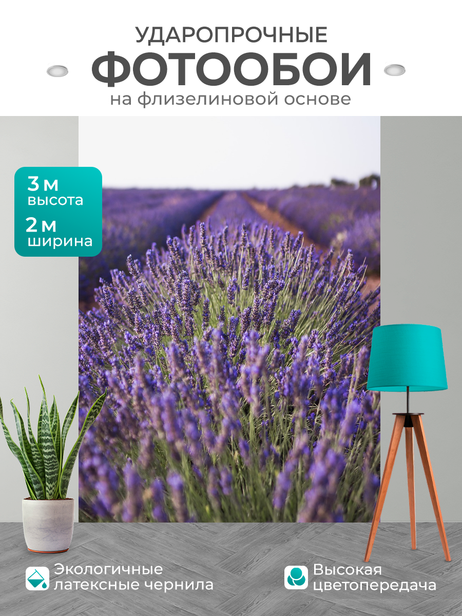 Фотообои моющиеся ударопрочные "Лаванда, природа, поле" 200x300 см. флизелиновые на стену