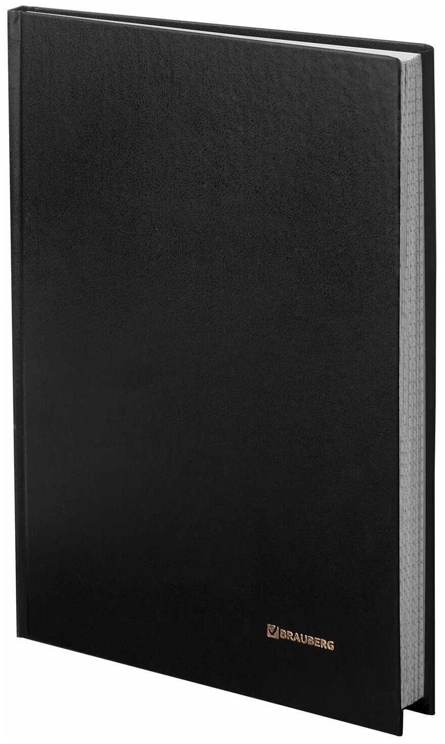 Книга учета 96 л, клетка, твердая, бумвинил, блок офсет, А4 200х290 мм, BRAUBERG, черная, 130223