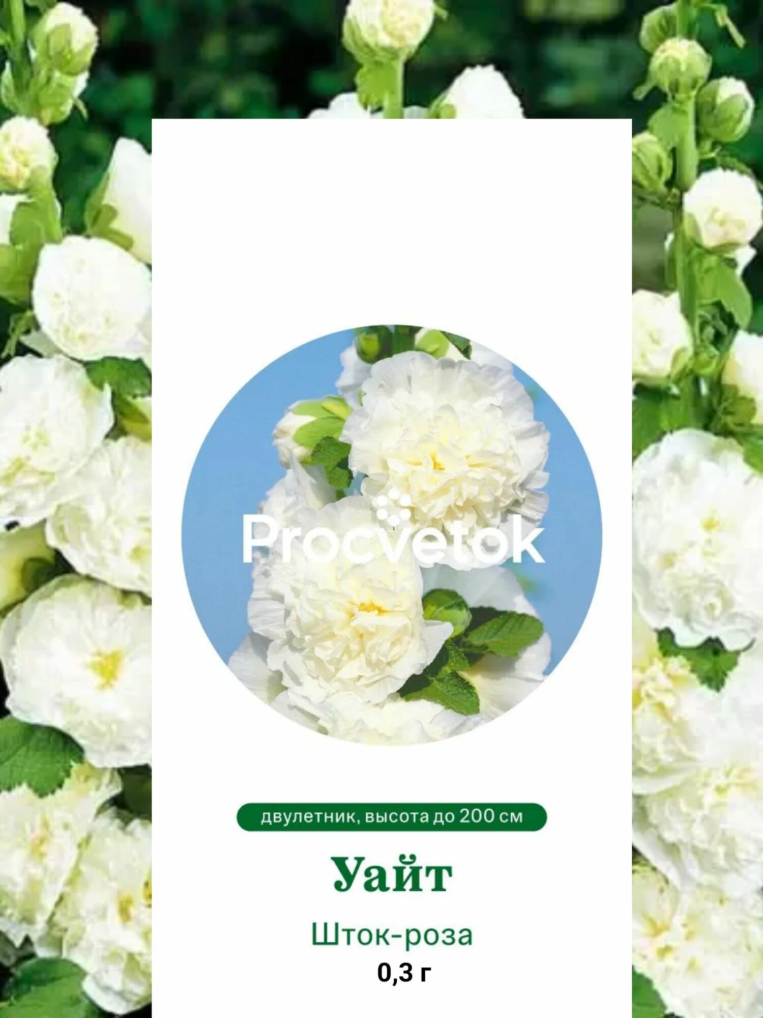Семена Шток-роза Уайт 0,3г, Процветок