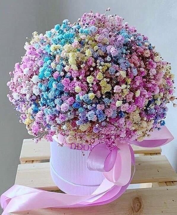 Букет из разноцветной гипсофилы в шляпной коробке, на любой повод