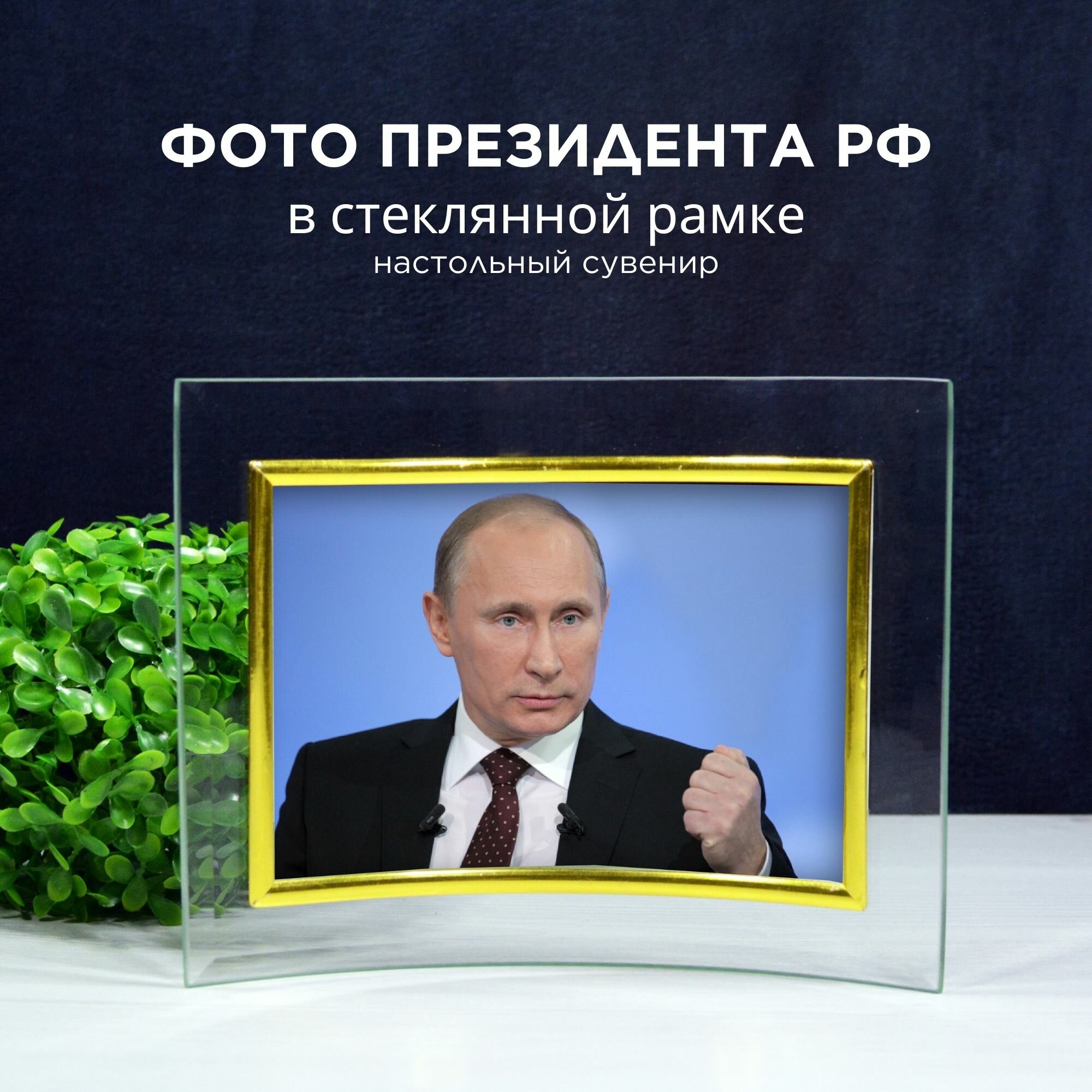 Портрет президента Путина В. В, 10 x 15 см, в стеклянной рамке