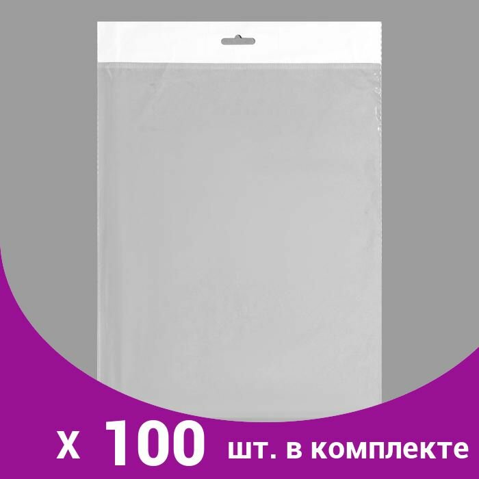 Пакет бопп с клеевым клапаном 25 х 32/4 см, еврослот, 25 мкм (100 шт)