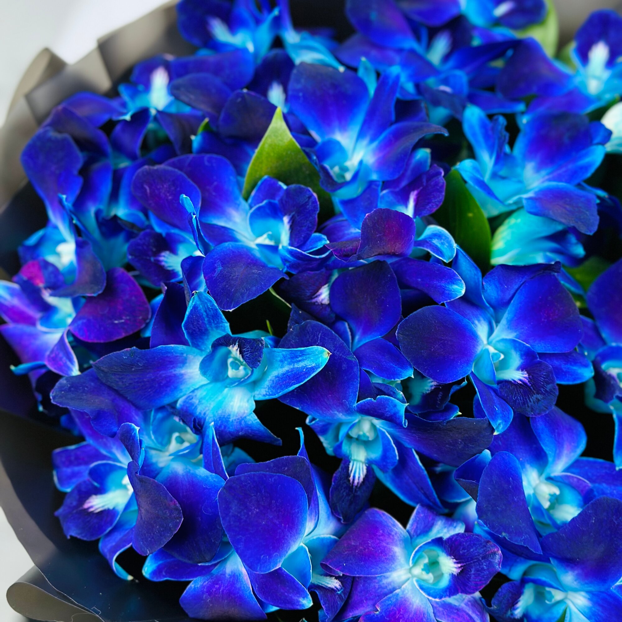 Монобукет Rybe-Flowers "Космические орхидеи", 51 цветок, 40см, L — фото 1