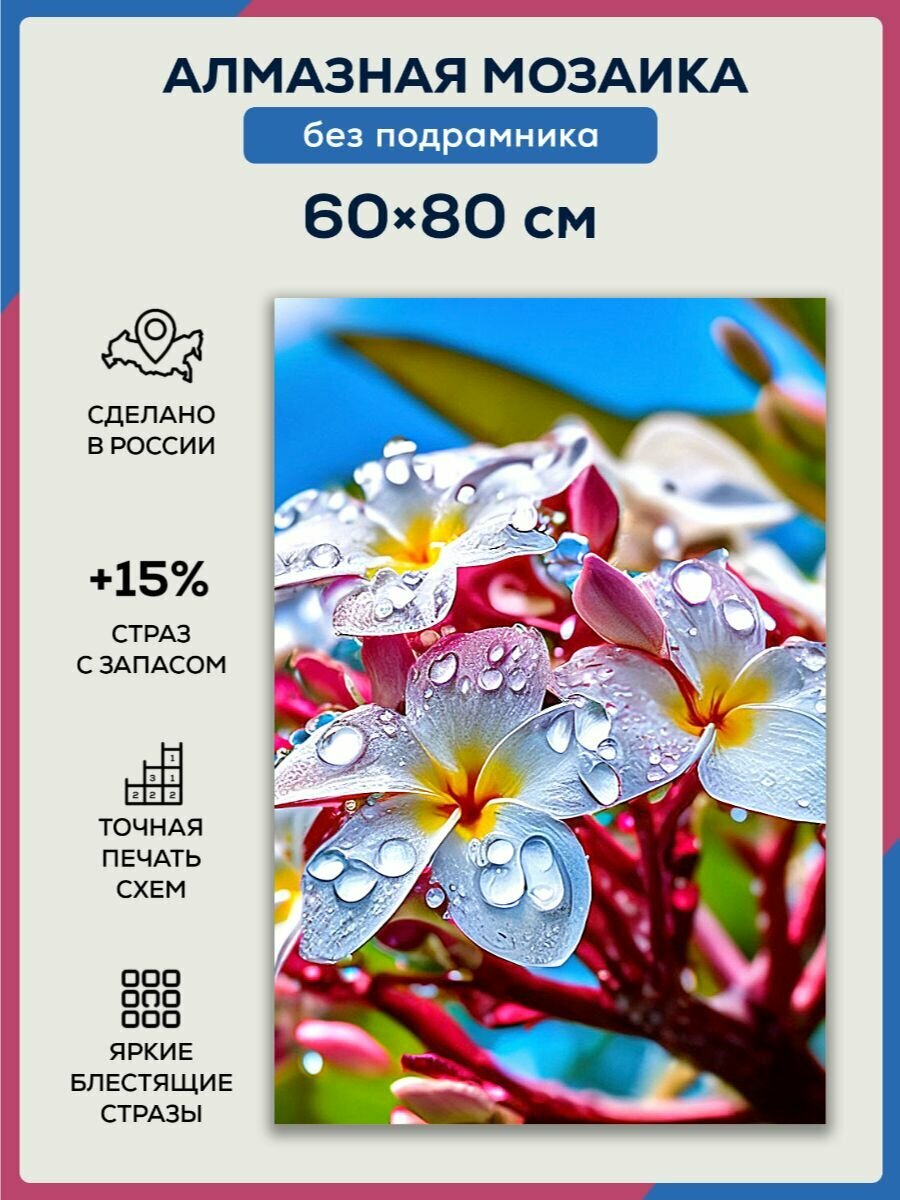 Алмазная мозаика 60x80 Цветы роса без подрамника