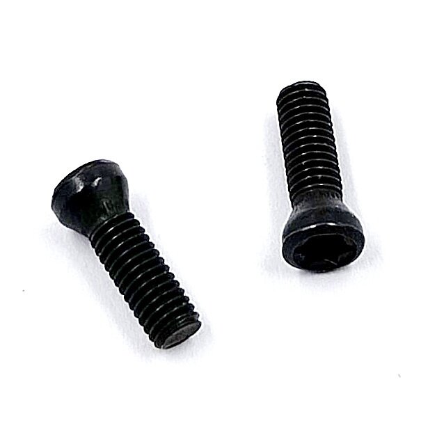 Винт М3,0х10 державки для крепления пластины TORX (к-т из 10 шт.)