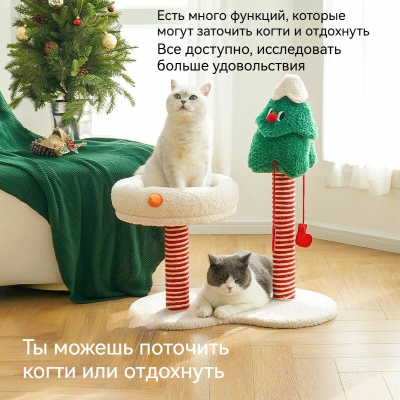 Когтеточка — фото 1