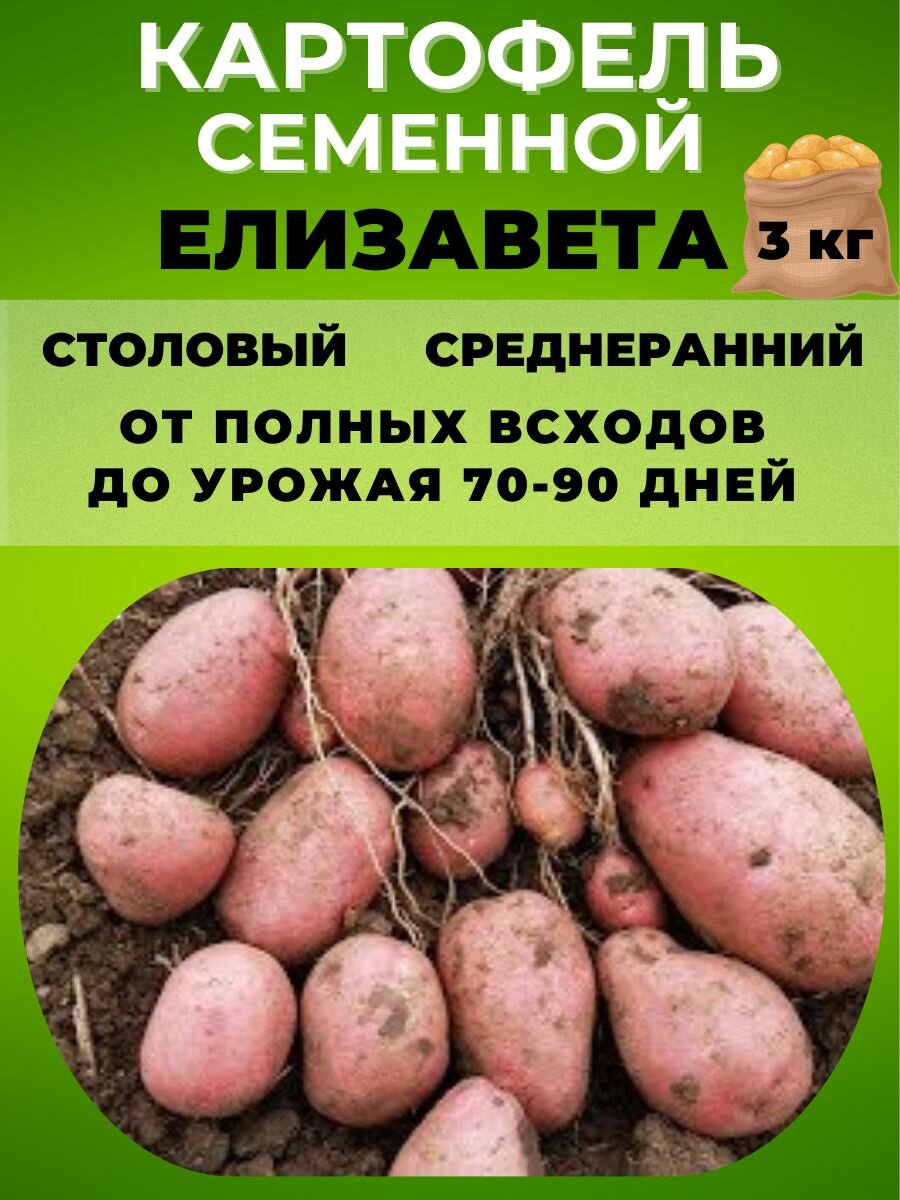 Картофель семенной Елизавета 3 кг