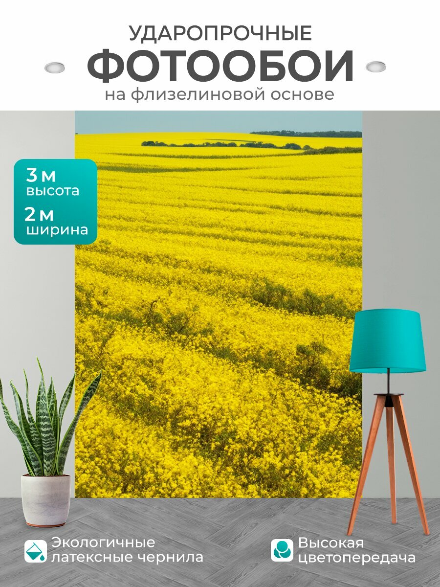 Фотообои моющиеся ударопрочные "Просторный желтый пейзаж, где яркая растительность переходит в желтое поле. использовать перспективу для передачи" 200x300 см. флизелиновые на стену