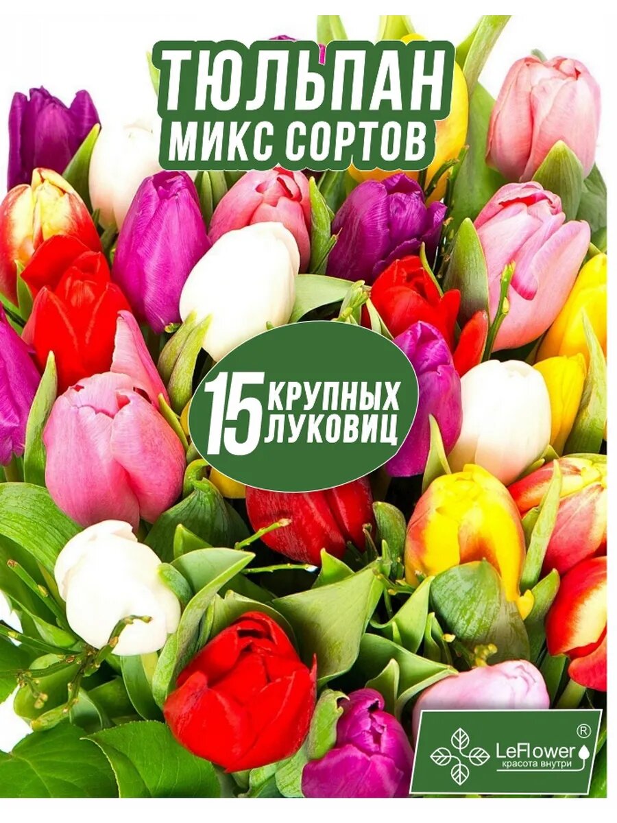 Тюльпан Луковица, Микс сортов 15 шт
