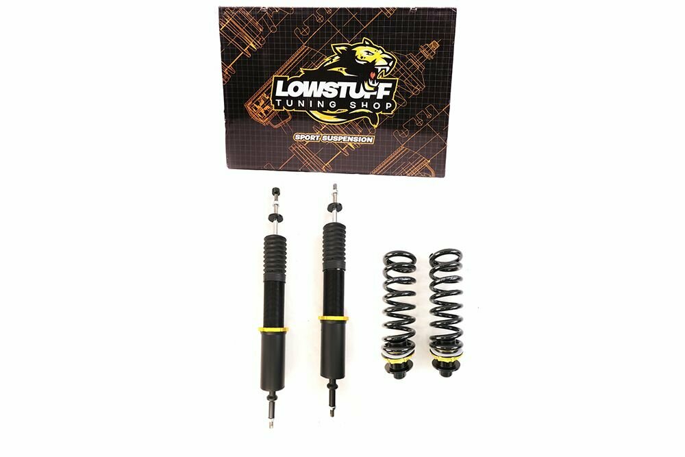 BMW E81 E82 E87 E88 E90 E91 E92 E93 xdrive Винтовая подвеска койловеры для задней оси с регулировкой высоты и жесткости EVO-III REARLSCSBM193