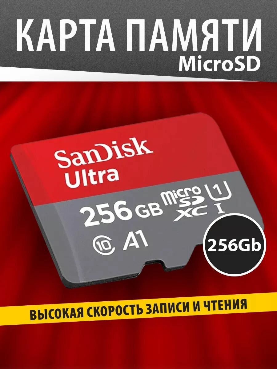 Карта памяти Ultra SD 256 ГБ, Class 10, UHS-I, до 120 МБ/с, для фотоаппарата и видео