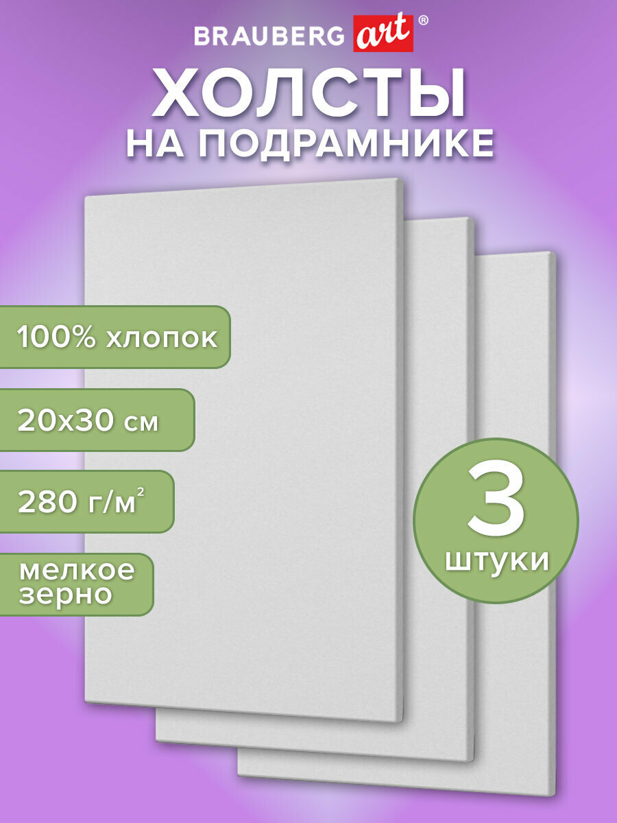 Холст для рисования на подрамнике 20х30см грунтованный набор 3 шт, 280 г/м2, 100% хлопок, мелкое зерно, Brauberg, 192676