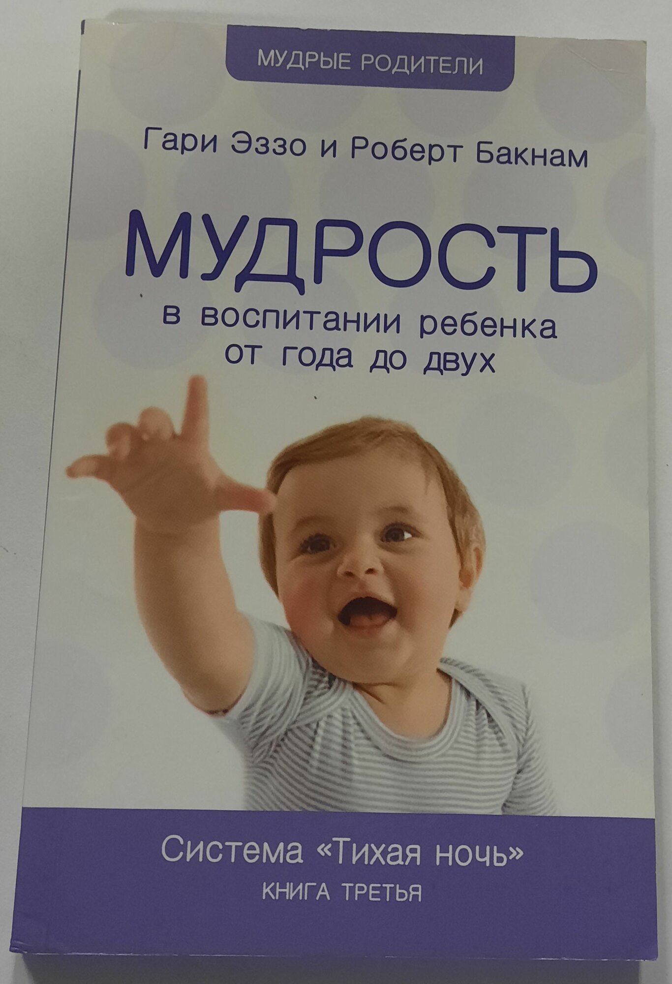 Мудрость в воспитании ребенка от года до двух. Книга серии 3