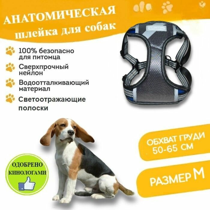Шлейка для собак средних и крупных пород Xing Ning анатомическая обхват груди M (50-65 см), с поводком 115 см светоотражающая серая