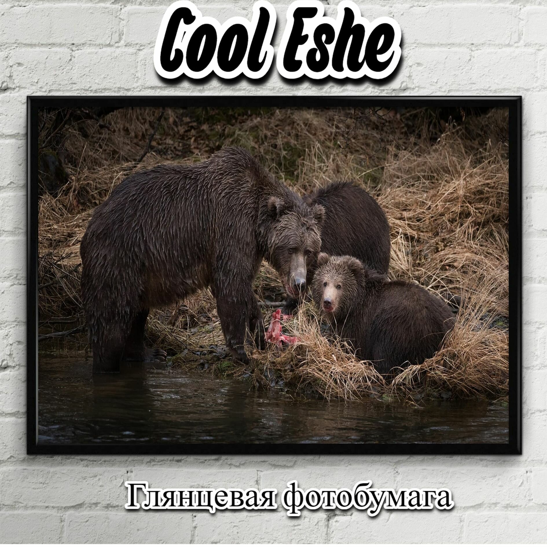 Постер "Семья медведей у воды" из коллекции "Животные" А3