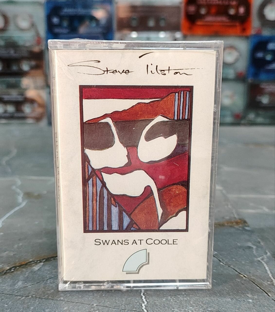 Steve Tilston Swans At Coole, кассета, аудиокассета (МС), USA, 1991