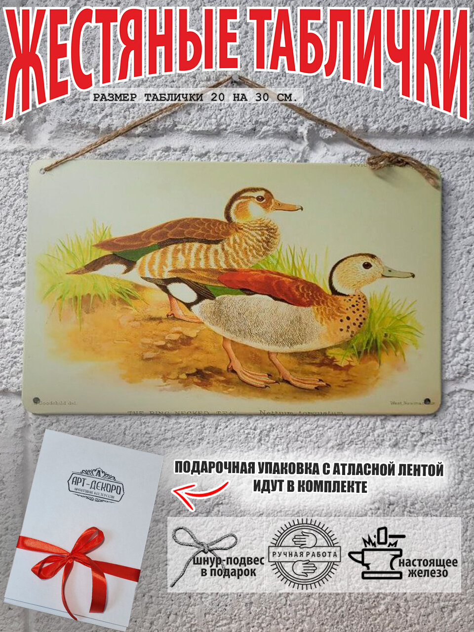 Утки, птицы постер 20 на 30 см, шнур-подвес в подарок