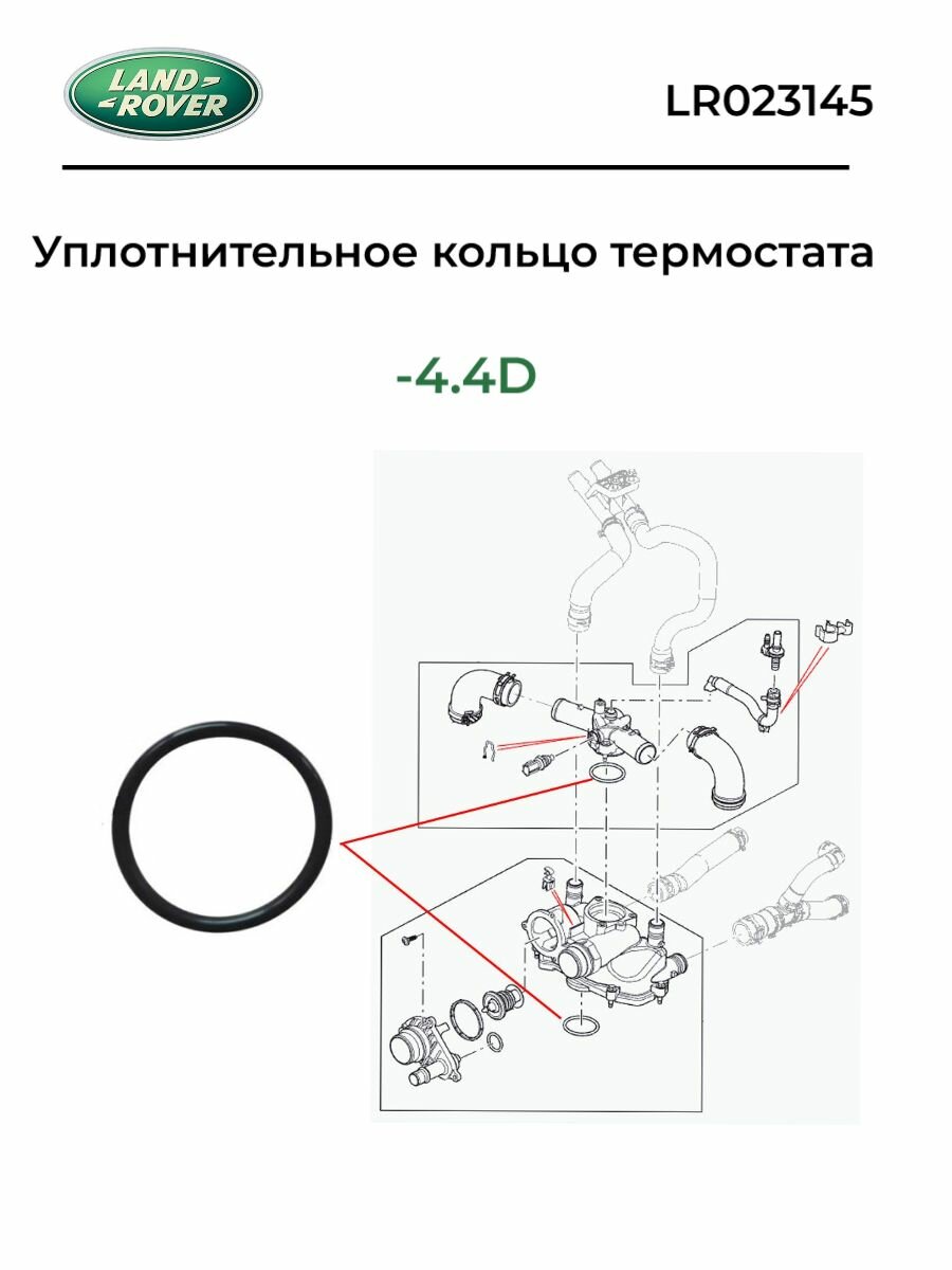 Уплотнительное кольцо термостата 4.4D