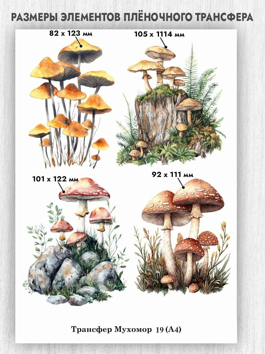 Трансфер для декупажа переводной рисунок для поверхностей мухомор 019 (А4)