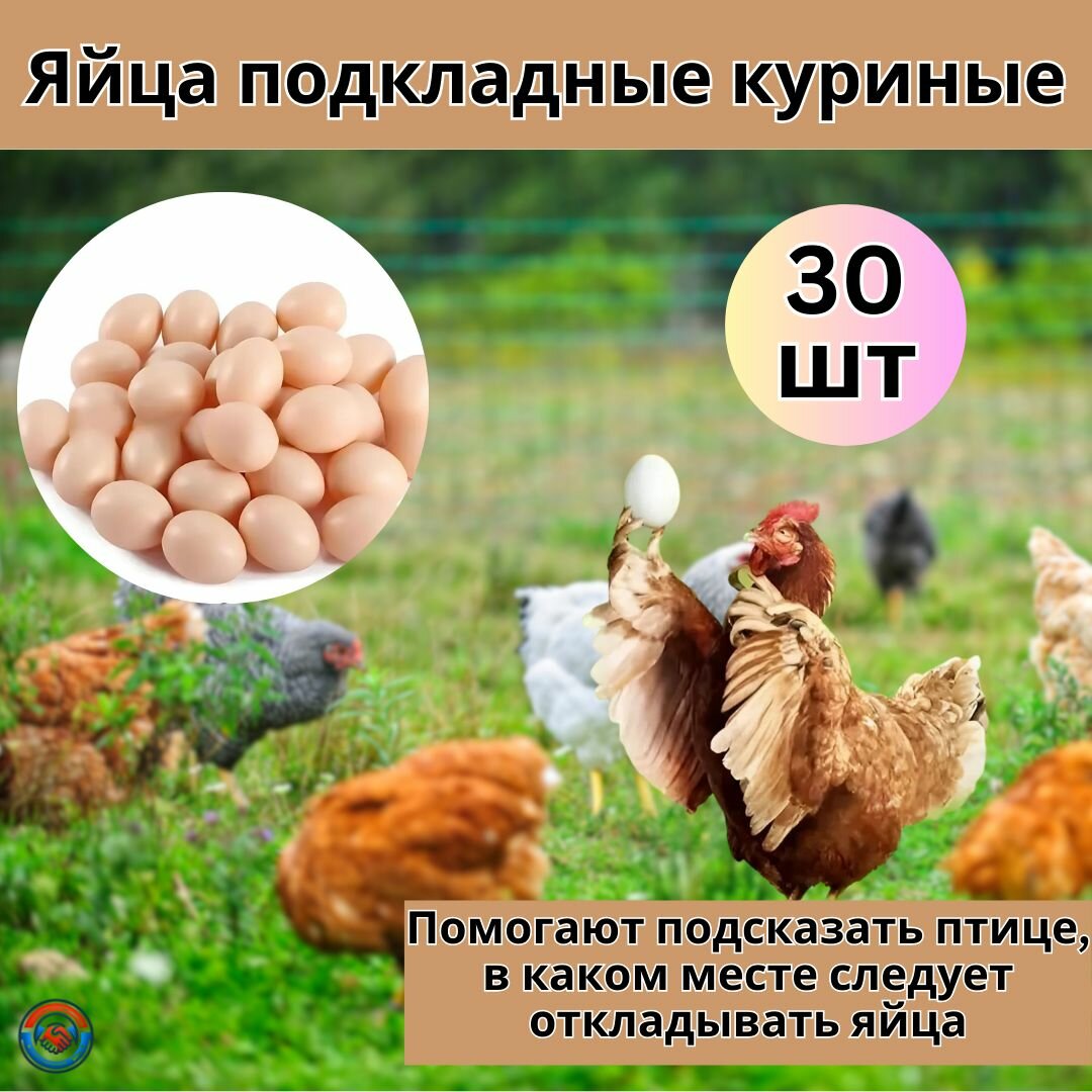 Муляж куриного яйца 30 штук для инкубаторов и курятников реалистичные подкладные яйца для тренировки кур