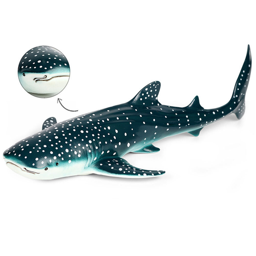 Имитация морских животных: китовая акула, большой горбатый кит, игрушки.