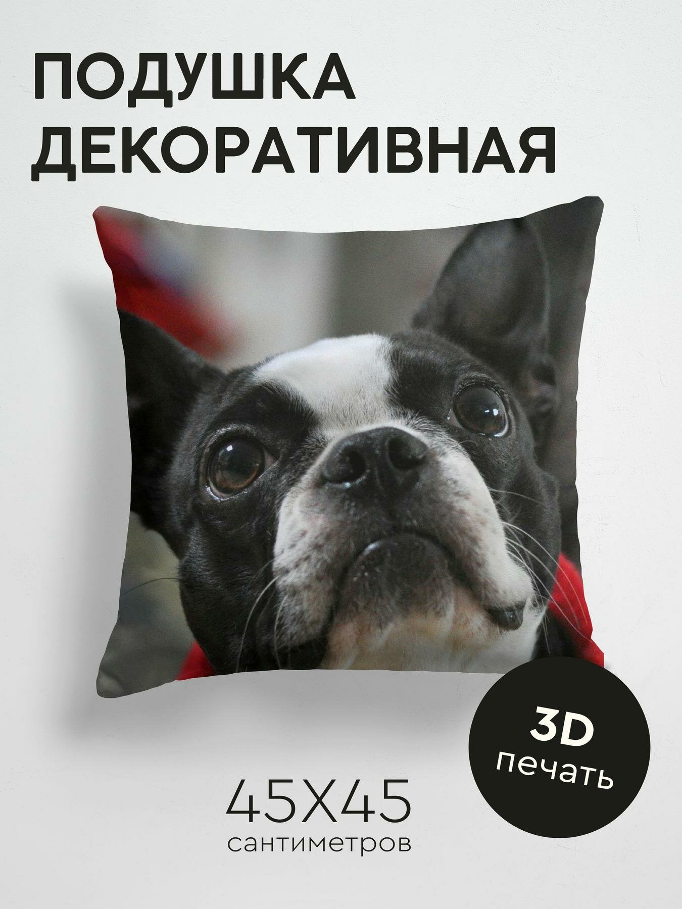 Подушка декоративная, 45x45см / Животные / французский бульдог / морда / глаза / уши / пятнистый