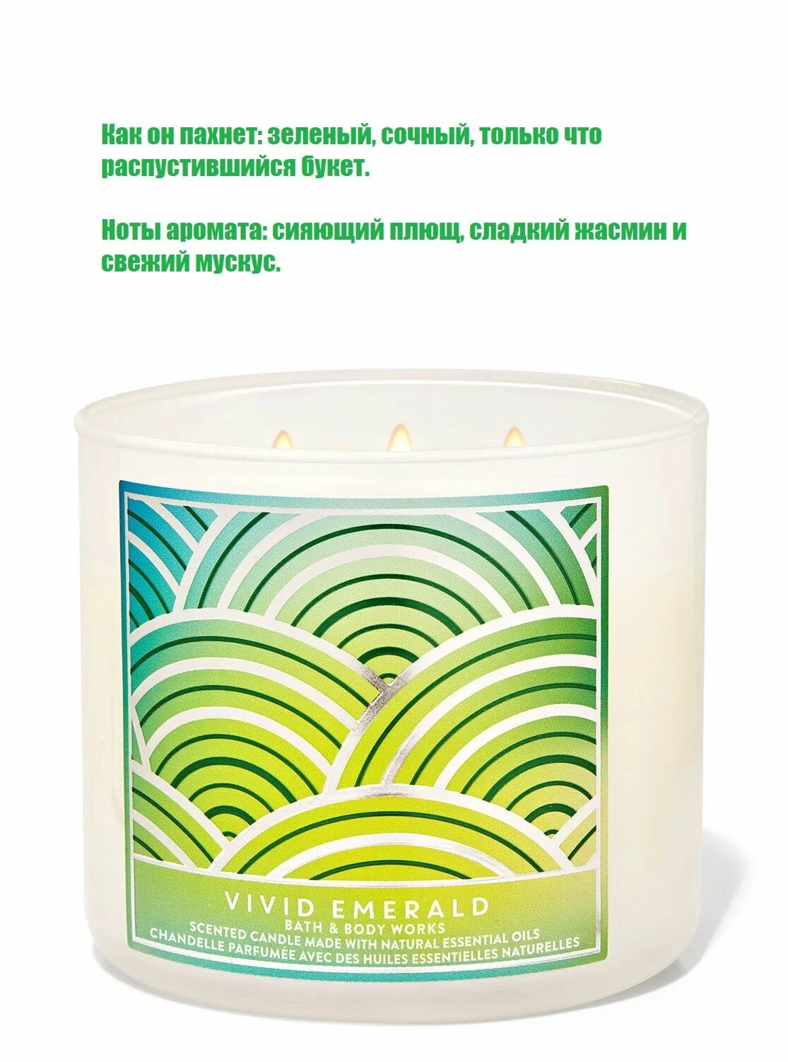 Bath and Body Works свеча ароматическая с 3-мя фитилями Vivid Emerald (411 грамм)