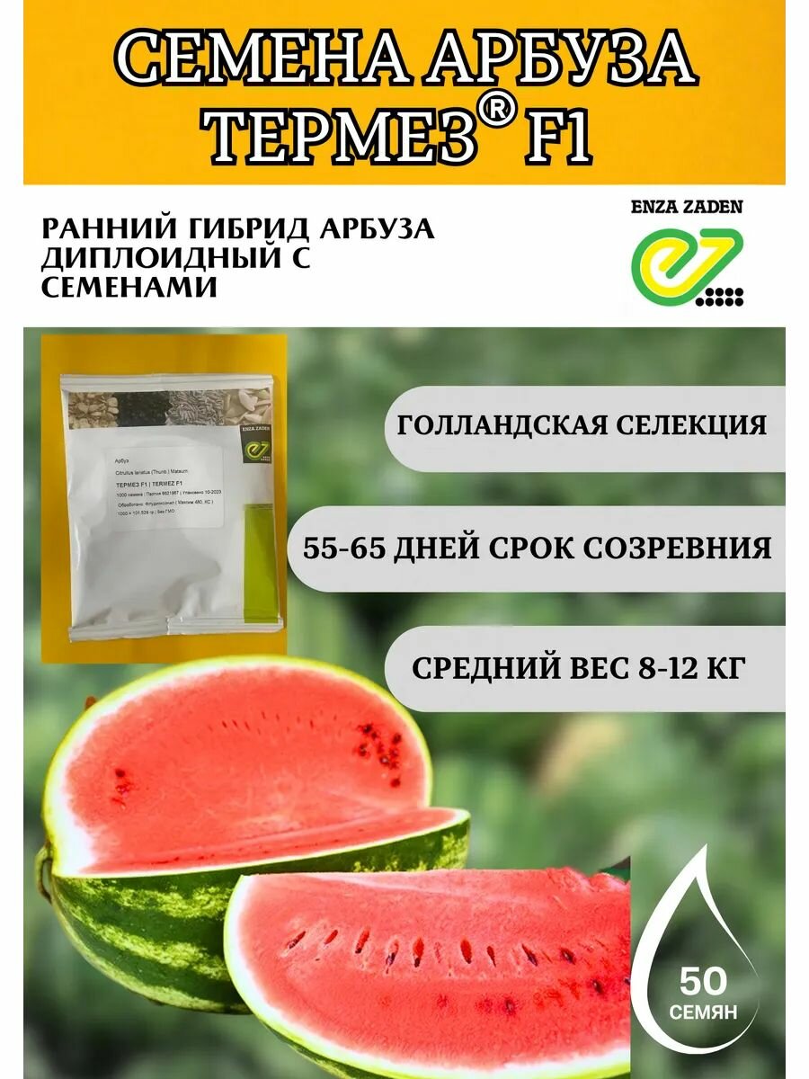 Семена арбуза Термез F1 50 шт Enza Zaden, профессиональные семена