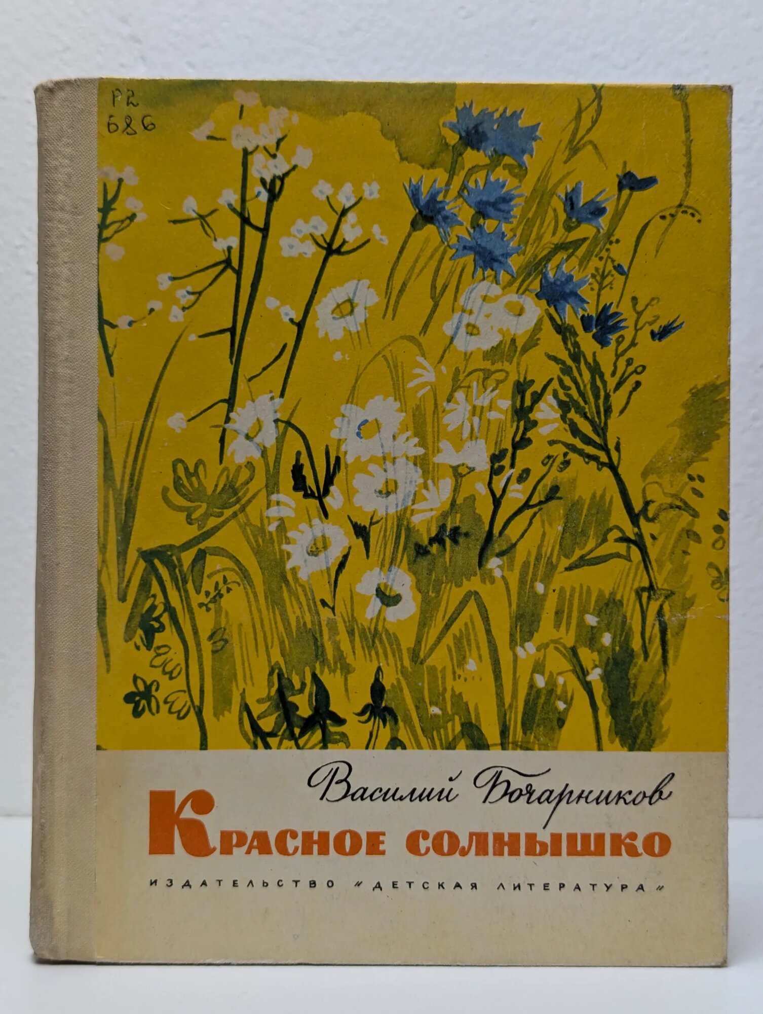 Красное солнышко Бочарников Василий Алексеевич 1973